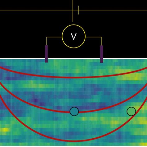 Klaus Holliger University Of Lausanne Lausanne Unil Institute Of