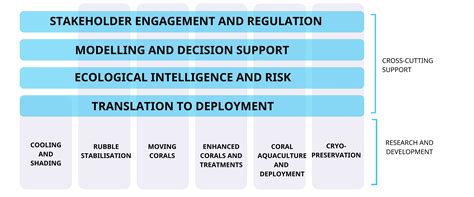 Our Research Reef Restoration And Adaptation Program