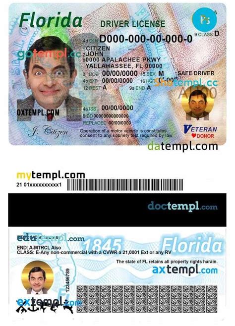 Florida Id Template Free Download Free Printables