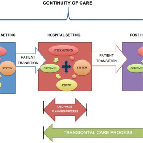 Continuity Of Care Vs Transitional Care Process Adapted From Holland