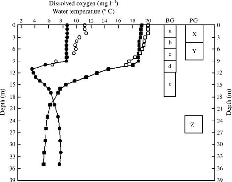 Thermal Stratification And Oxygen Concentration In The Dam And Download Scientific