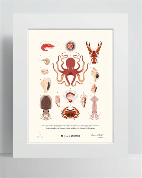 15 Types Of Shellfish Libreria Del Mare