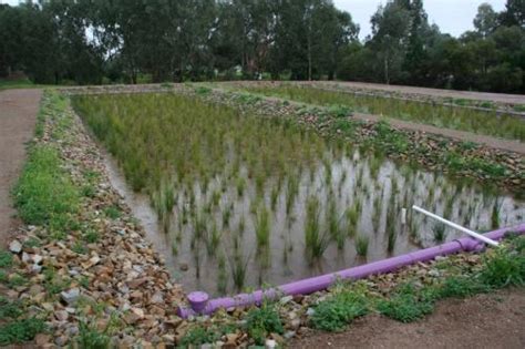Stormwater Harvesting Reuse And Recycling Scheme