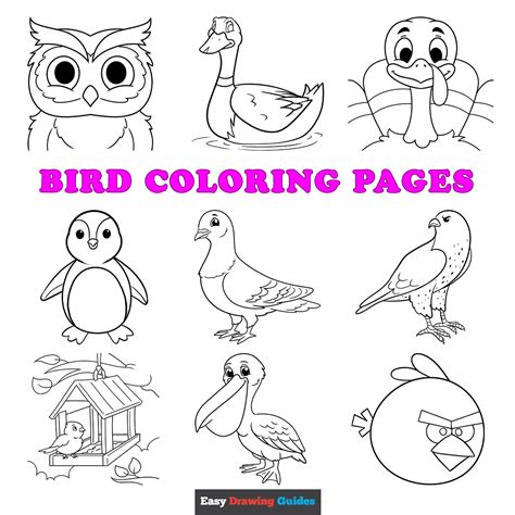 Colouring Sheets Birds