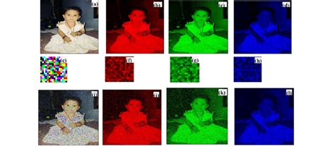 results of the proposed color image encryption and decryption a input