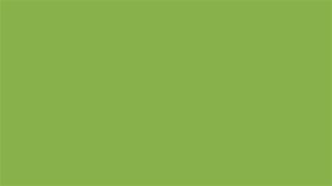 Greenery Solid Color Background Image Free Image Generator
