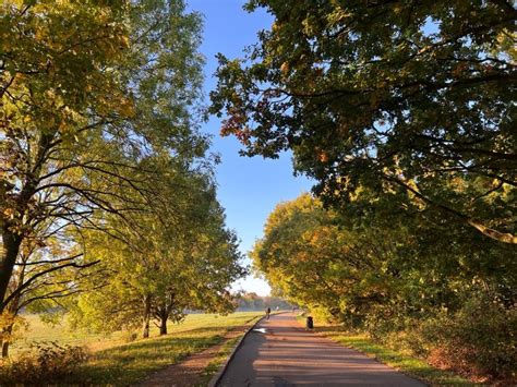 Supporting Housing Association Board Members
