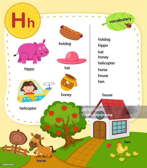Alphabet Letter H Education Vocabulary Illustration Vector High Res