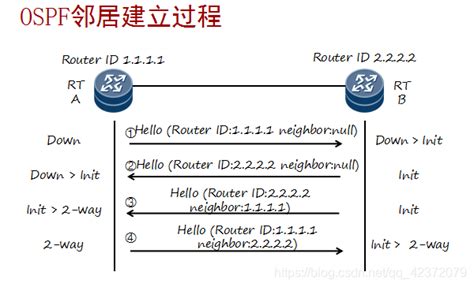 ospf邻居建立过程 neighbor id csdn博客