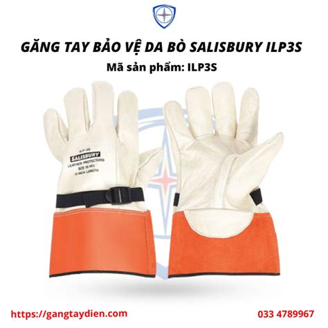 GĂng Tay BẢo VỆ Da BÒ Salisbury Ilp3s