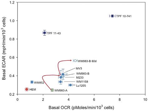 Basal Ocr In Relation To The Ecar In Short Term Cultures Of Human Download Scientific Diagram