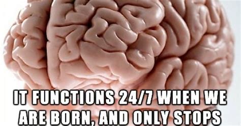 The Consistency Of Its Performance Is Astonishing Meme On Imgur