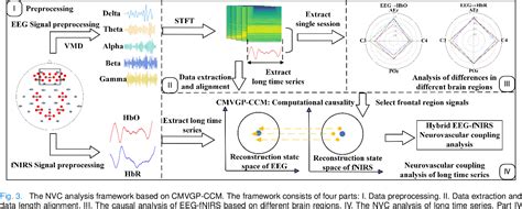 Figure 3 From Neurovascular Coupling Analysis Based On Multivariate Variational Gaussian Process