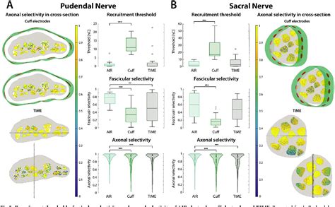 figure 5 from design of an adaptable intrafascicular electrode air for selective nerve