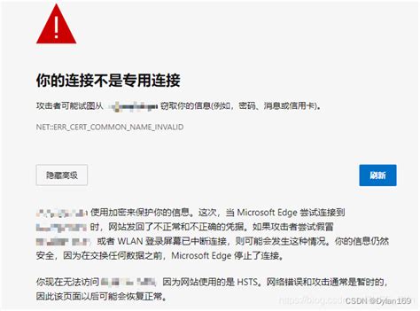 windows下浏览器提示你的连接不是专用连接的解决方法 win11你的连接不是专用连接 csdn博客
