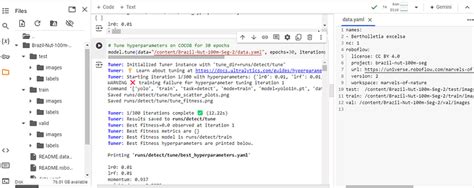 WARNING Training Failure For Hyperparameter Tuning Support Ultralytics