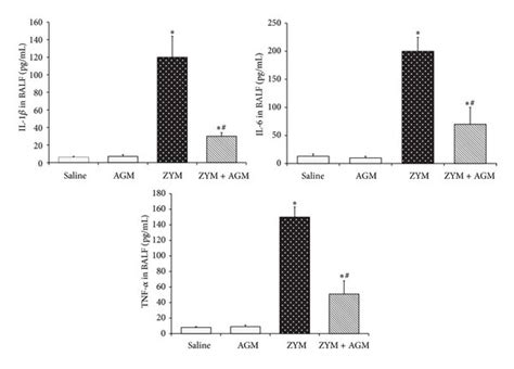Agmatine Downregulates Zymosan Induced Tnf α Il 1β And Il 6 In Lung