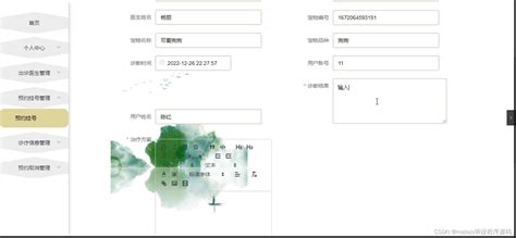 python flask计算机毕业设计宠物医院排号系统的设计与实现（程序 开题 论文） csdn博客