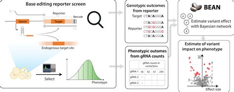 Welcome To Bean Documentation Bean Documentation