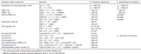 Ferredoxin Semantic Scholar