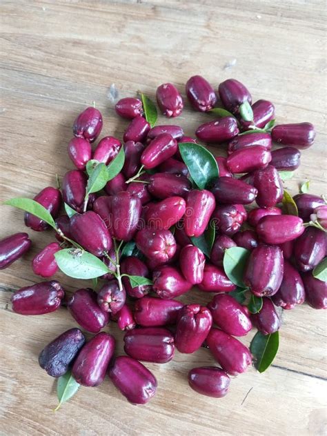 Mini Red Guava Tastes Sour But Refreshing Stock Image Image Of Guava Sour 378747823