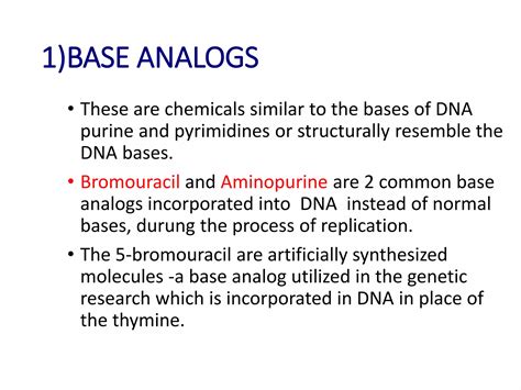 Chemical Mutagenic Agents Pptx