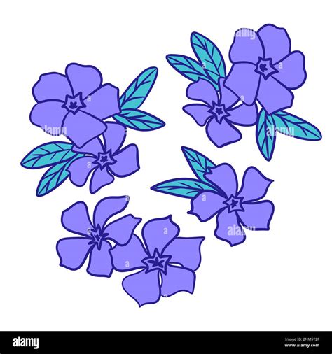 How To Draw Violets Flowers