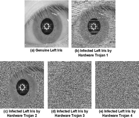 Figure 8 From A Cross Layer Biometric Recognition System For Mobile Iot