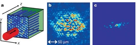 Transverse Localization Scheme A A Probe Beam Entering A Disordered