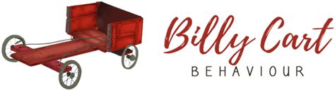 Risk Assessment Training A Person Centred Rights Based Approach Billy Cart Behaviour