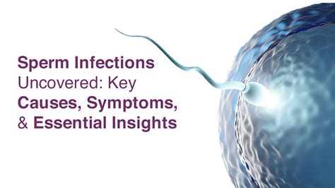 Sperm Infections Causes Symptoms Diagnosis And Treatment