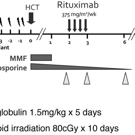 Eular Response Criteria Download Scientific Diagram