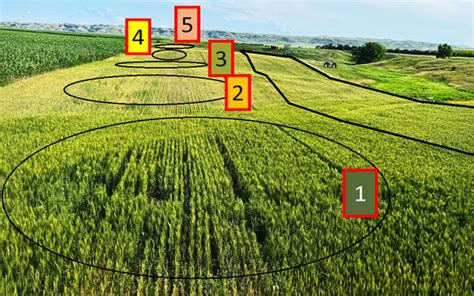 Variations In A Field And Variable Rate Technology Adoption