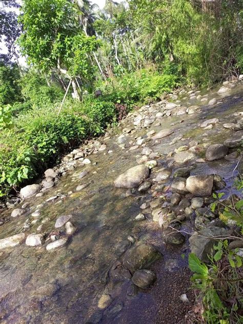 Affordable Properties For Sale Lopez Quezon 2 Properties March 2025 On