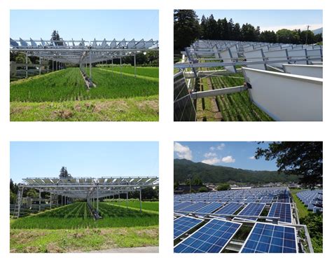 自動追尾営農型太陽光発電システムを組み合わせた米作りの実証研究―安定した発電と高収量の稲作を両立するための太陽光発電システム― 東京大学