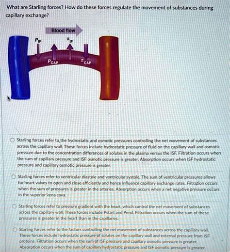 What Are Starling Forces How Do These Forces Regulate The Movement Of Substances During