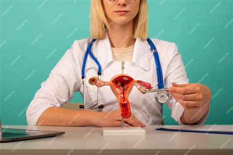 Premium Photo Doctor Gynecologist Showing Pen On Anatomical Model Of