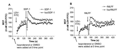 Binding And Dissociation Of The Ldv Fitc Probe In Response To