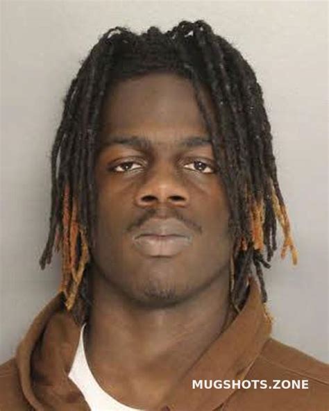 Brown Robert Bryan 04112023 Berkeley County Mugshots Zone