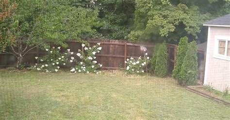 Flowerd Album On Imgur