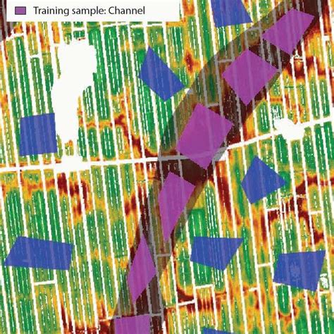 Training Samples Used For The Classification Process Download Scientific Diagram