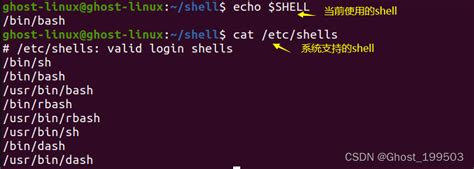 shell编程 输入输出 shell 输入 csdn博客