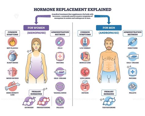 Hormone Replacement Explained Brief Diagram Comparing Menopause And Andropause Symptoms