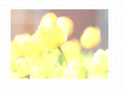 GitHub Nhn Tui Image Editor Full Featured Photo Image Editor Using Canvas It Is Really