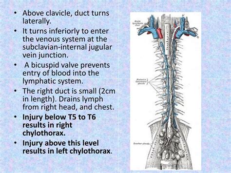 Ppt Chylothorax Pseudochylothorax Powerpoint Presentation Free Download Id 5875643