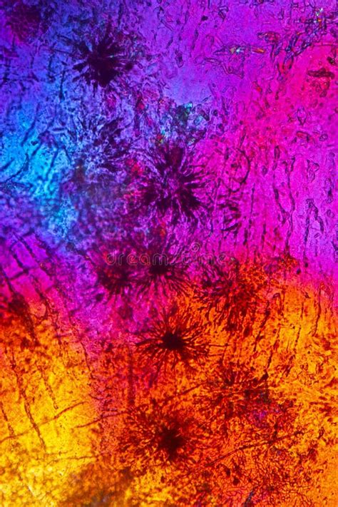 Abstract Micrograph Of A Single Scale From A Sockeye Salmon Stock Image