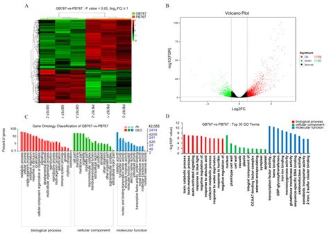 Comparative Transcriptome And Metabolome Analyses Of Broccoli