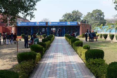 Post Graduate Government College Pggc11