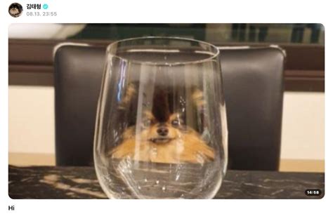 Bts Community Posts Tov ·゜♡ 친애하는 당신에게 ♡゜ · 태태 🐻🐯💚 잘 지내니 Wlive에 와 주셔서 감사합니다 매우 맛있을 것