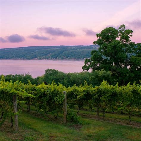 Finger Lakes Wine Trail Finger Lakes Wine Country
